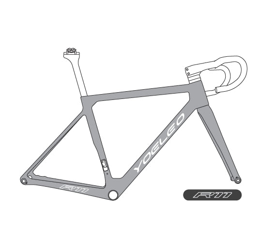 YOELEO'S CUSTOMIZED PAINTING - Build Your Custom Bike