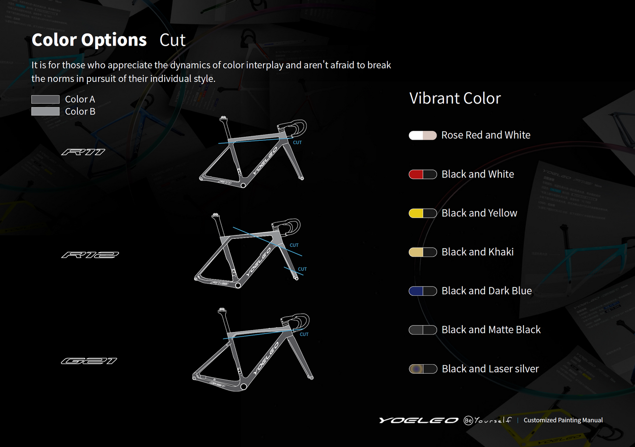 YOELEO'S CUSTOMIZED PAINTING - Build Your Custom Bike