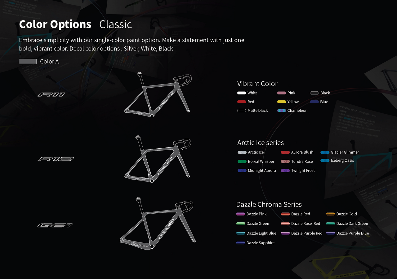YOELEO'S CUSTOMIZED PAINTING - Build Your Custom Bike