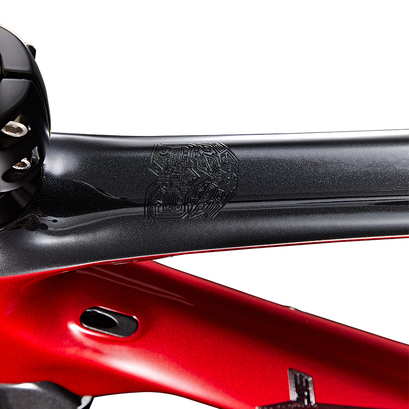 Carbon Bike Frame - R11 Super Light Road Frameset – YOELEO